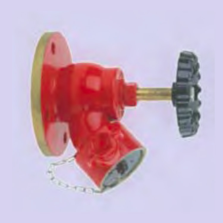 OBLIQUE 45° HYDRANT VALVES (07 HGV249-F) - Progard Sdn Bhd Fire ...